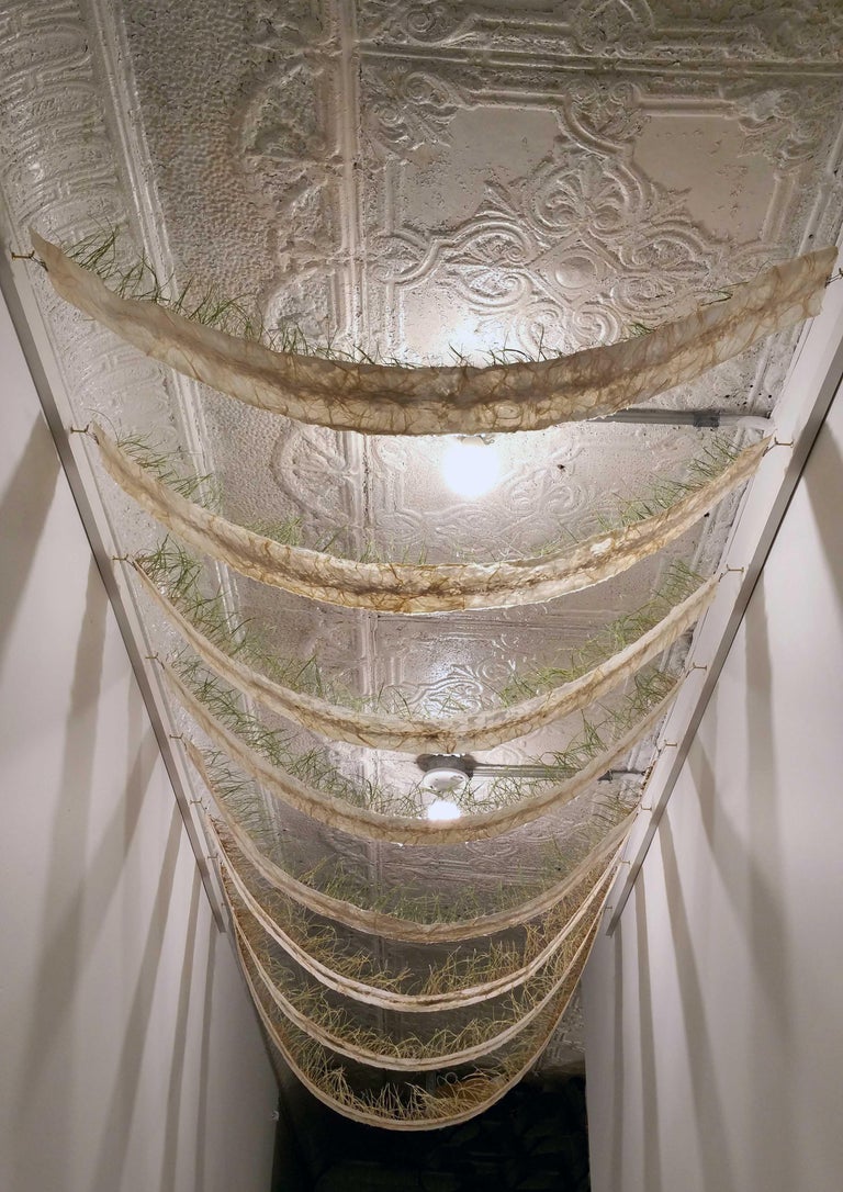 Michele Brody - Michele Brody, Drawing Roots: Curvature, Handmade Cast ...