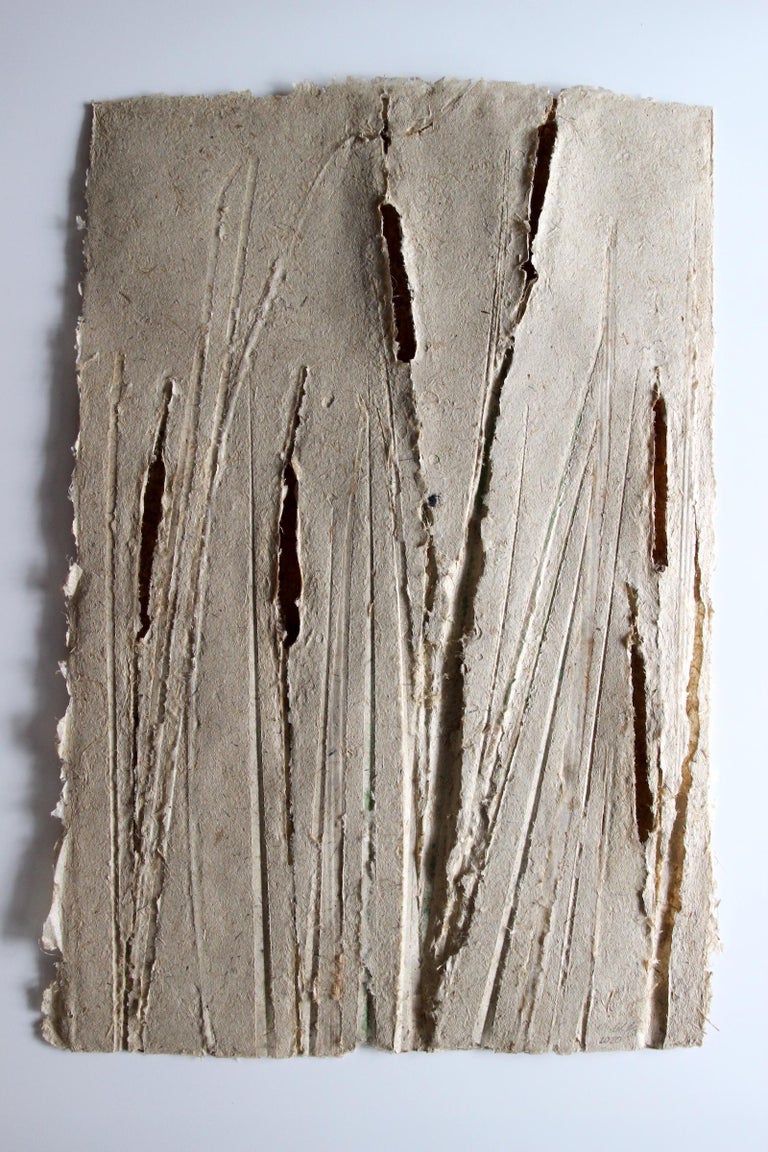 Michele Brody - Michele Brody, Nature in Absentia: Cattails Plucked Out ...