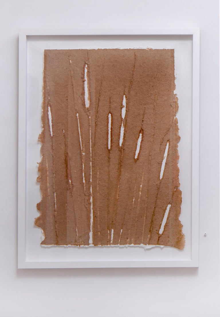 Michele Brody - Michele Brody, Nature in Absentia: Empty Cattails ...
