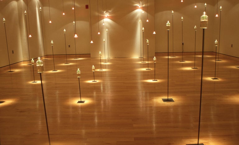 Michele Brody - Michele Brody, Prarie Preserve: Installation ...