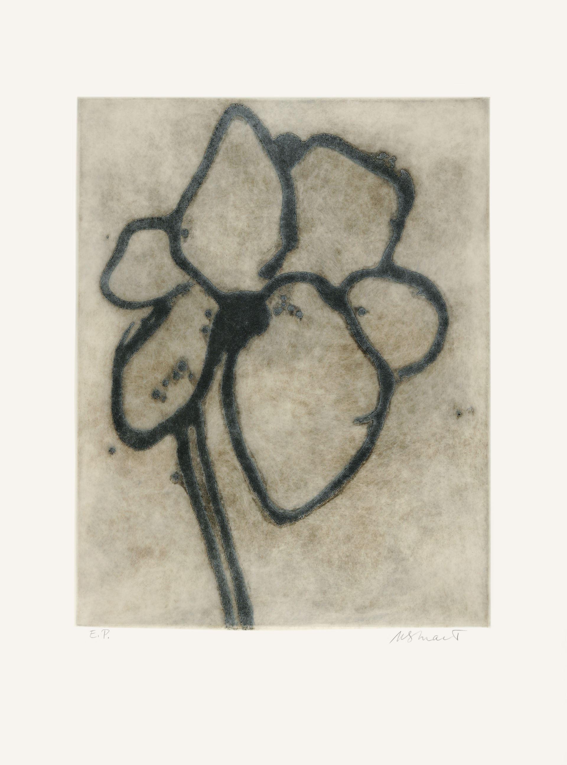 Michelle Stuart – „Michelle Stuart, amerikanische Künstlerin, Original ...