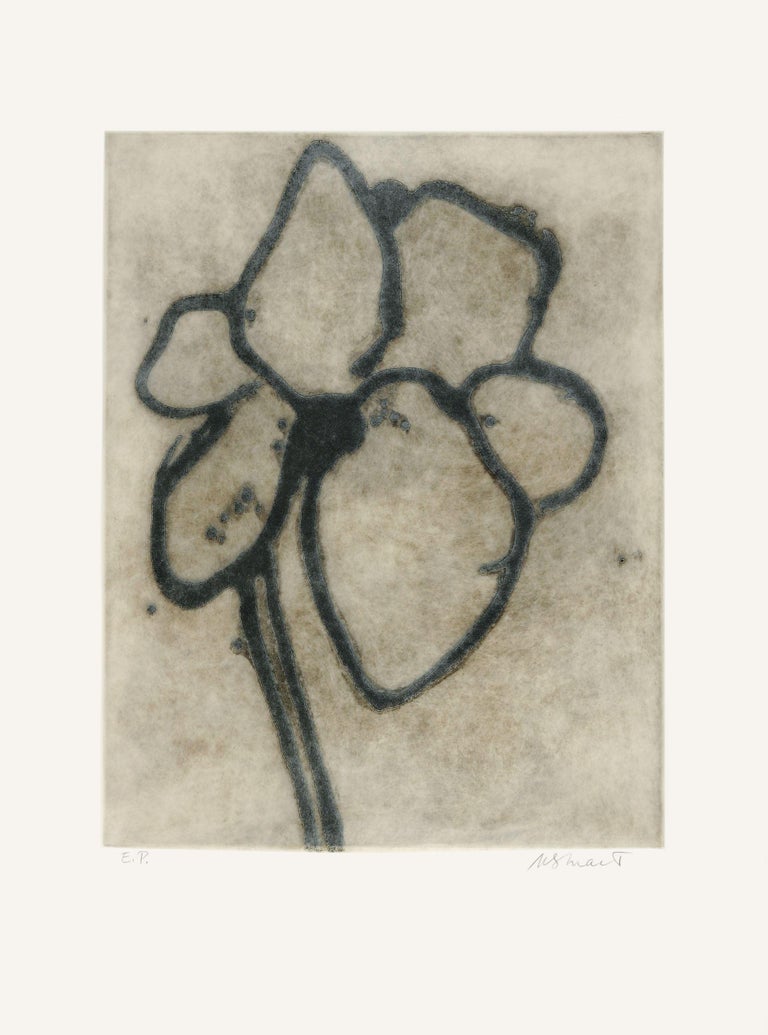 Michelle Stuart - Michelle Stuart American Artist Original Hand Signed ...