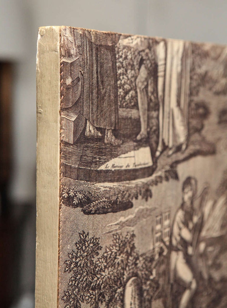 Mid-19th Century French Toile Fabric Screen For Sale at 1stDibs
