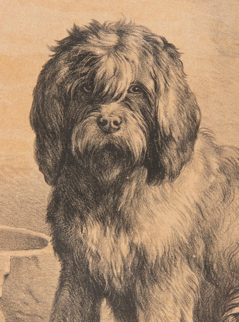 Mid-19th Century Litho of Dogs by Eugène Verboeckhoven For Sale at 1stDibs