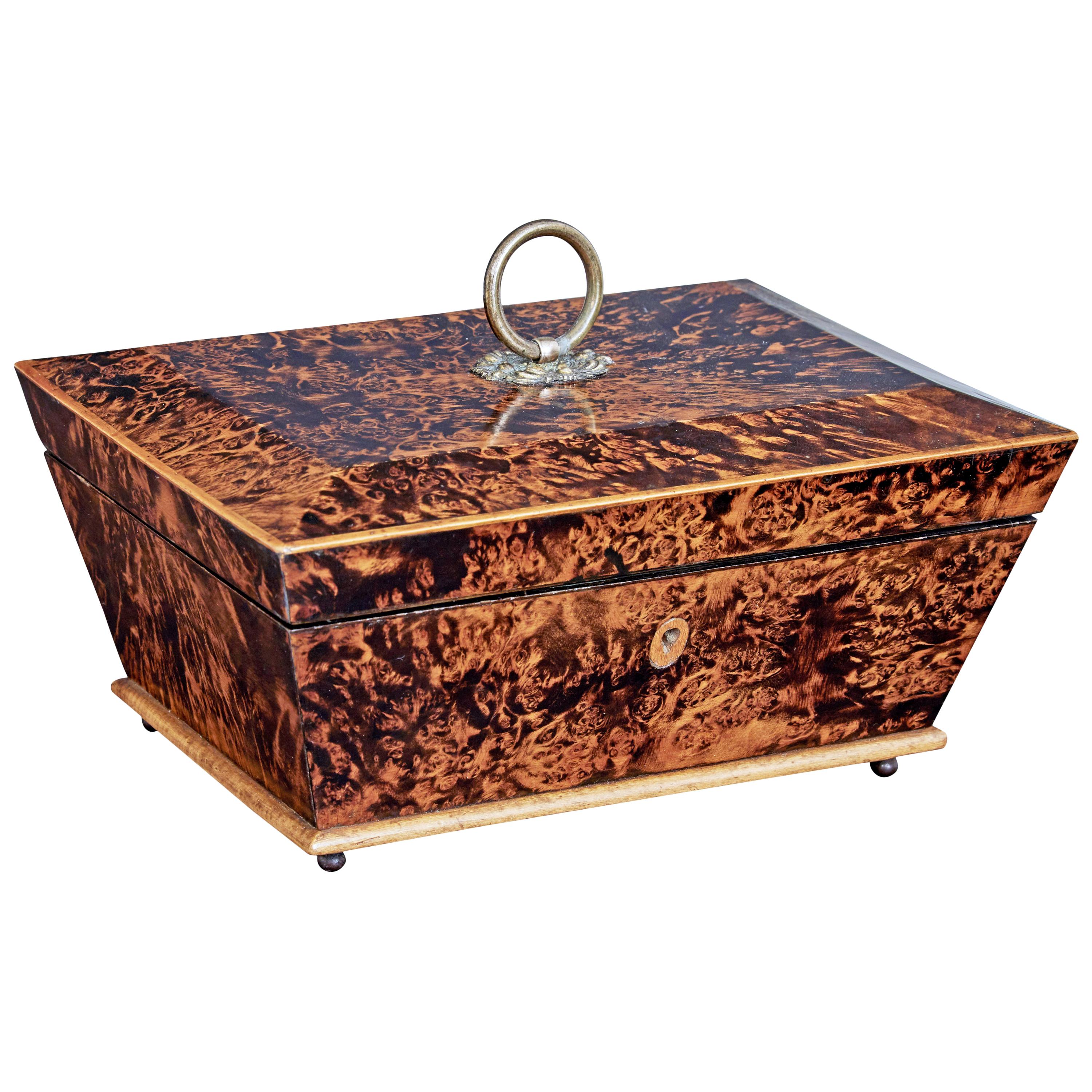 Mid-19th Century Swedish Karelian Birch Sarcophagus Form Box at 1stDibs