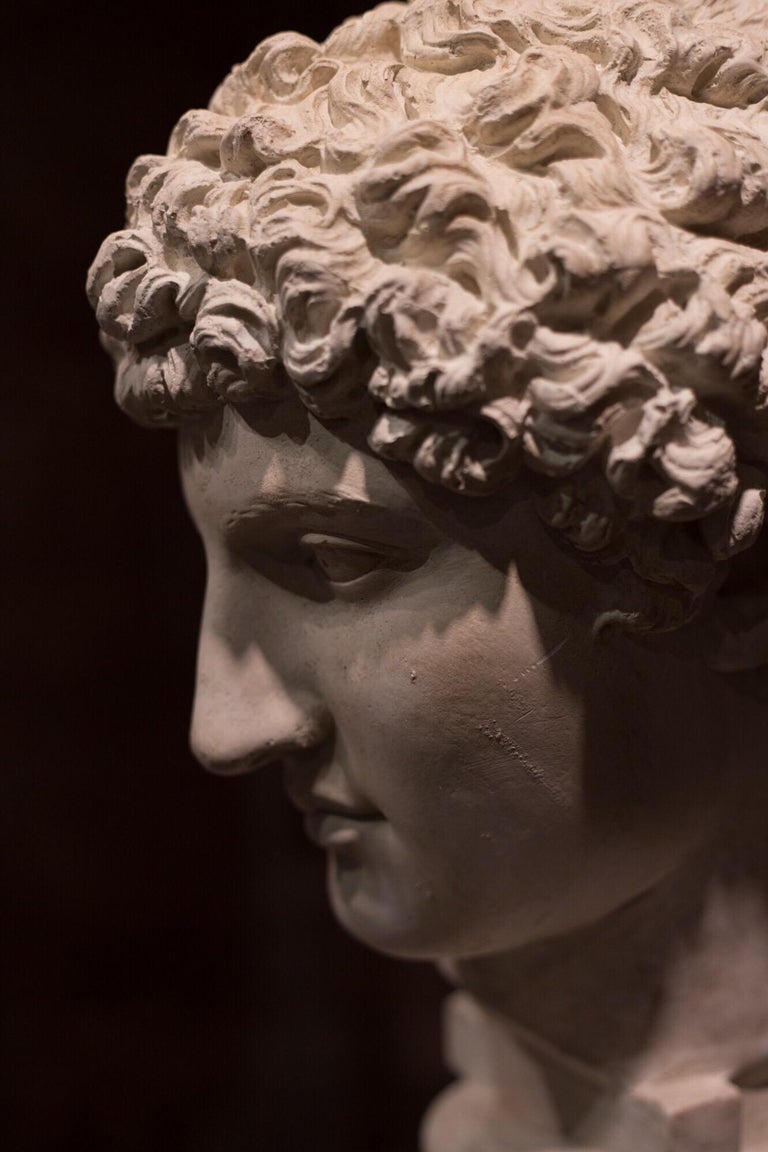 Mid-19th Century White Italian Neoclassical Plaster Bust Antinous, 1860 ...