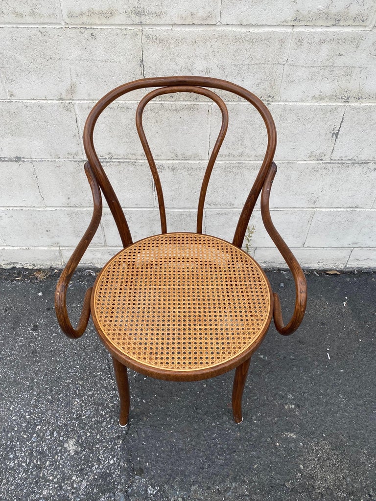 Mid-20th Century Bentwood and Cane Chair For Sale at 1stDibs