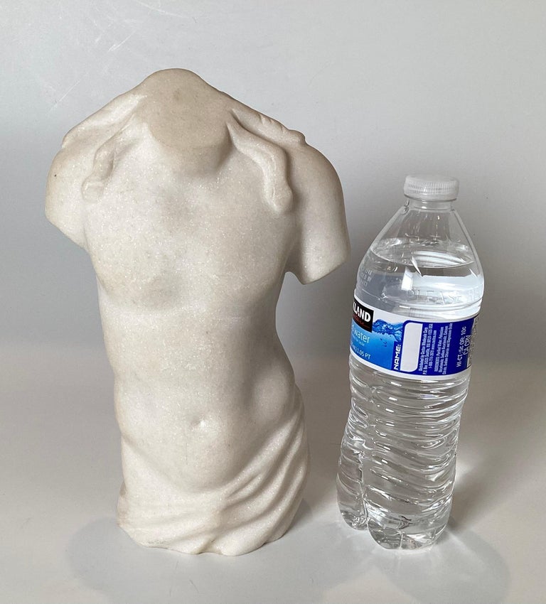Mid 20th Century Carved Marble Sculpture of Male Torso For Sale at 1stDibs
