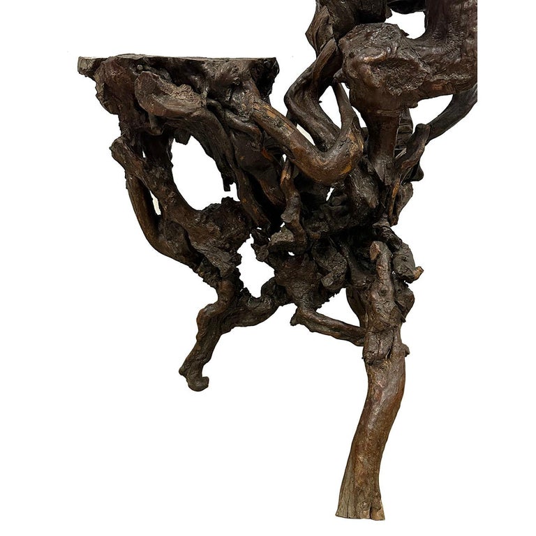 Mid-20th Century Chinese Natural Organic Tree Roots Plant Stand ...