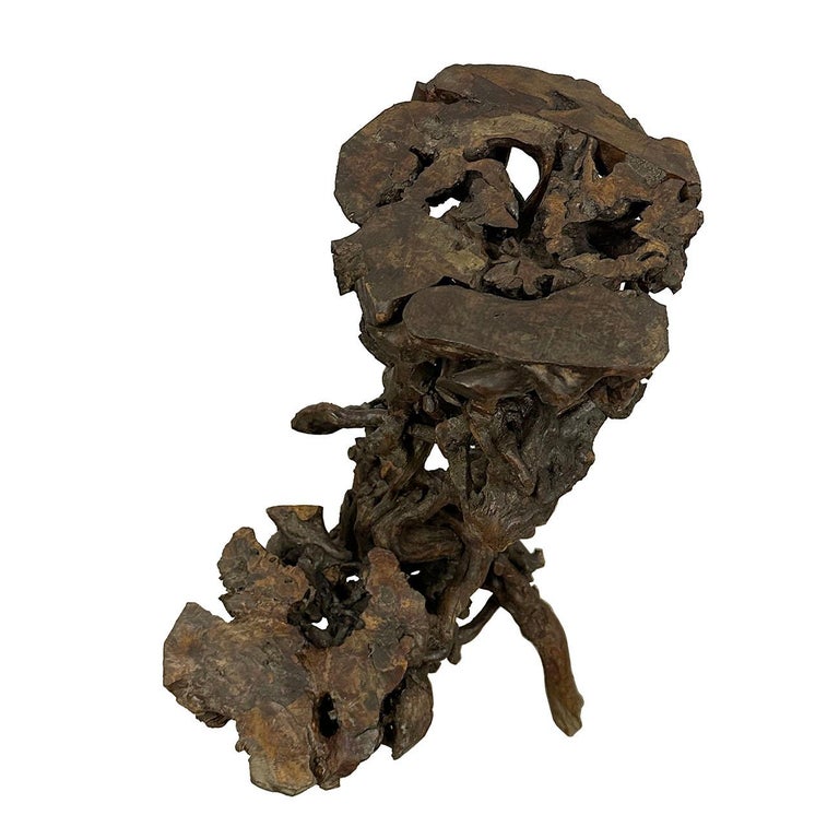 Mid-20th Century Chinese Natural Organic Tree Roots Plant Stand ...