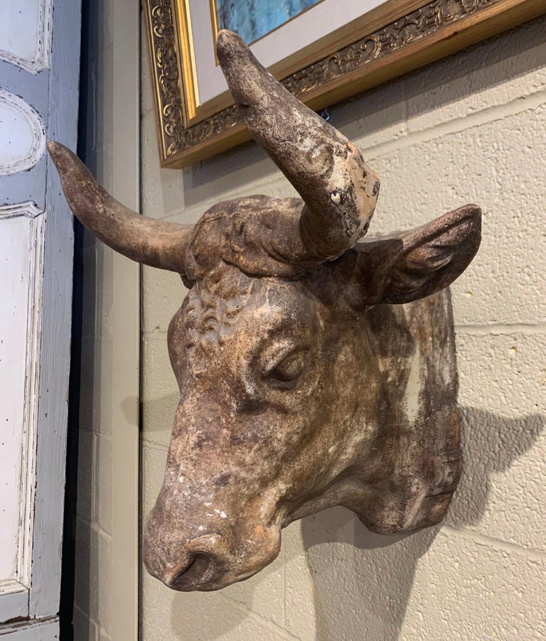 Mid-20th Century French Carved Terracotta Butcher Cow Head Sculpture at ...