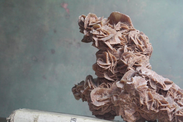 Mid-20th Century Large Geological Mineral Crystal Specimen, Desert Rose ...