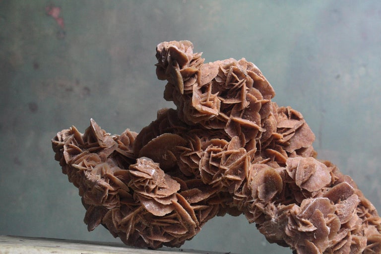 Mid-20th Century Large Geological Mineral Crystal Specimen, Desert Rose ...