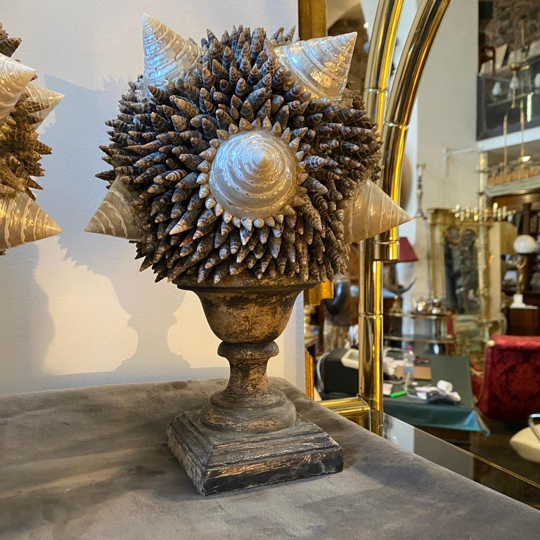 Mid-20th Century Pair of Composition of Shells on Antique Lacquered ...