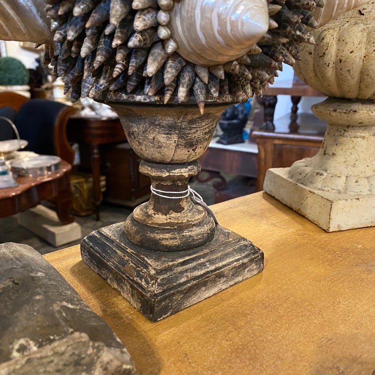Mid-20th Century Pair of Composition of Shells on Antique Lacquered ...