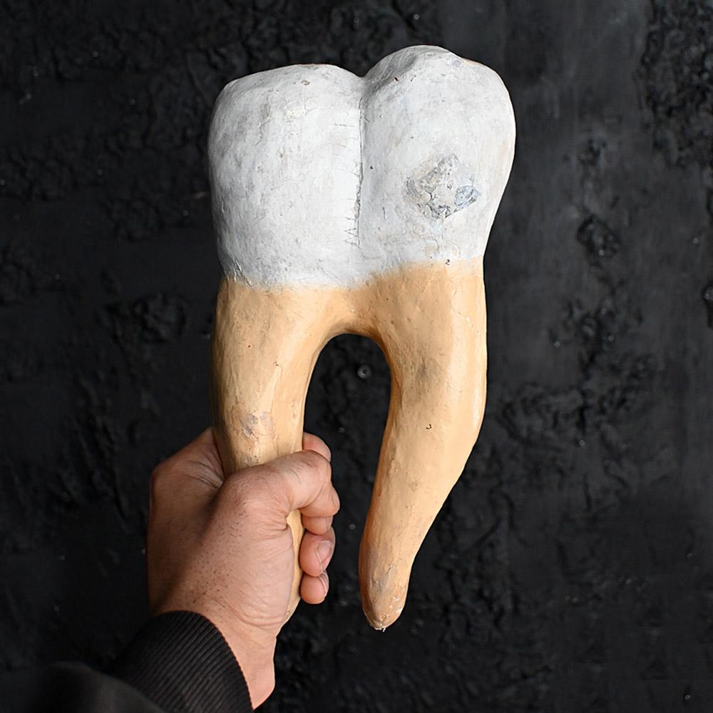 Mid-20th Century Papier Mache Medical Teaching Aid For Sale at 1stDibs