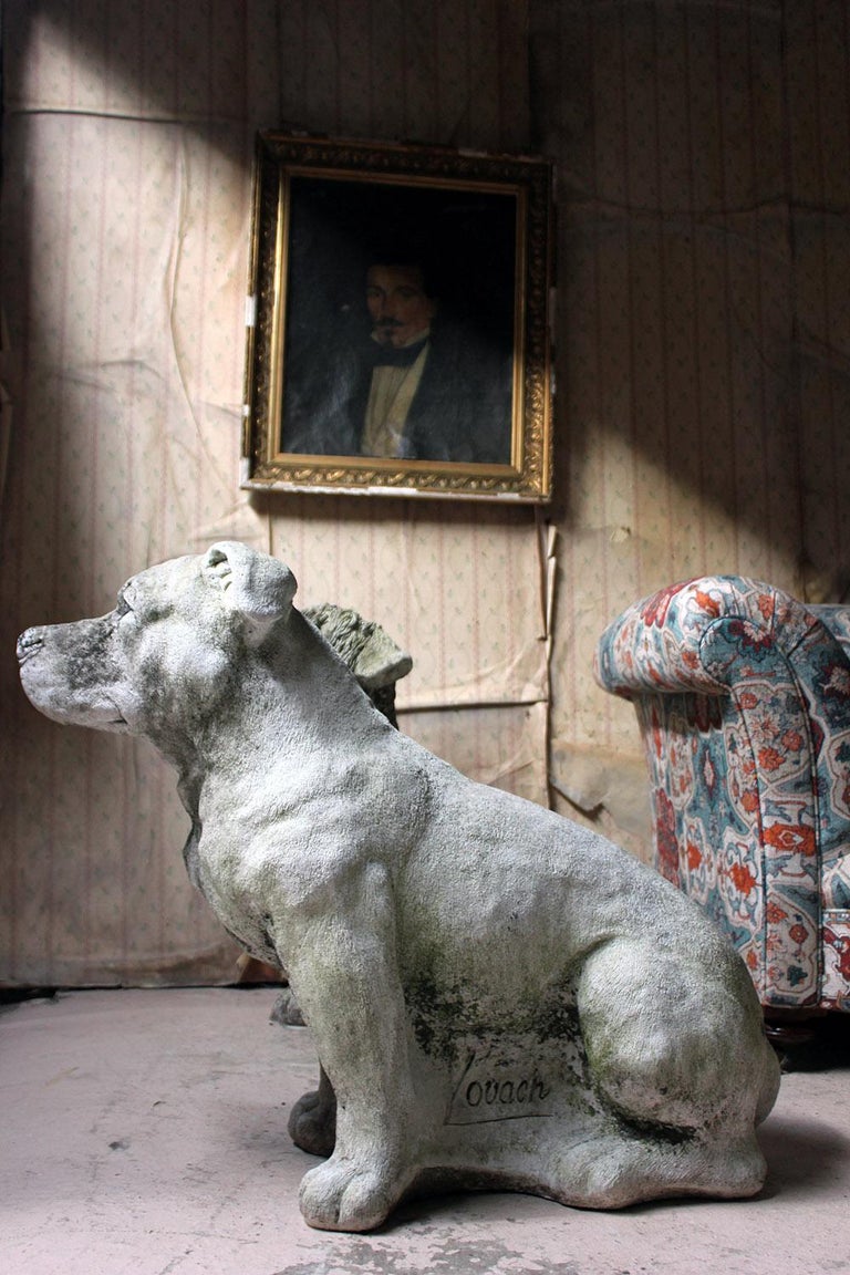 Mid-20th Century Cast Composition Stone Staffordshire Bull Mastiff at ...