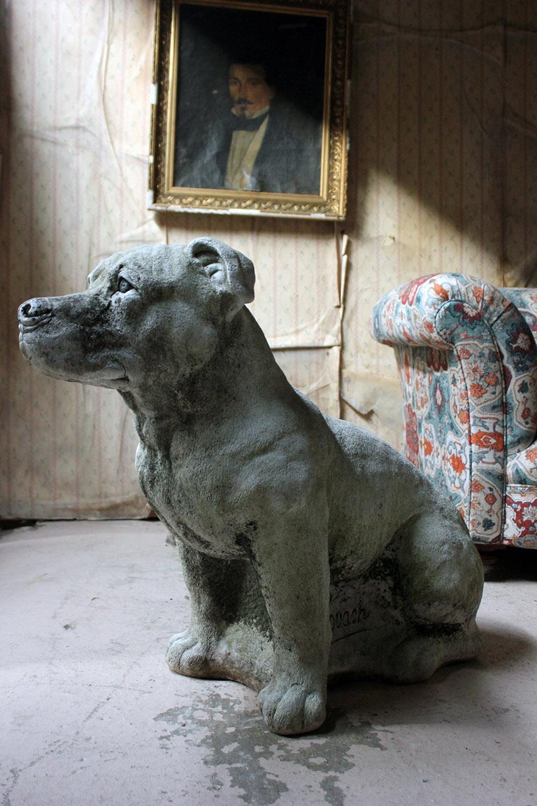 Mid-20th Century Cast Composition Stone Staffordshire Bull Mastiff at ...