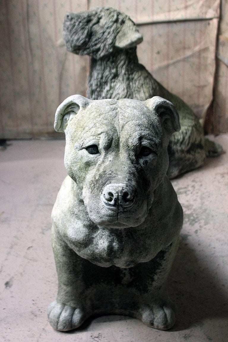 Mid-20th Century Cast Composition Stone Staffordshire Bull Mastiff at ...