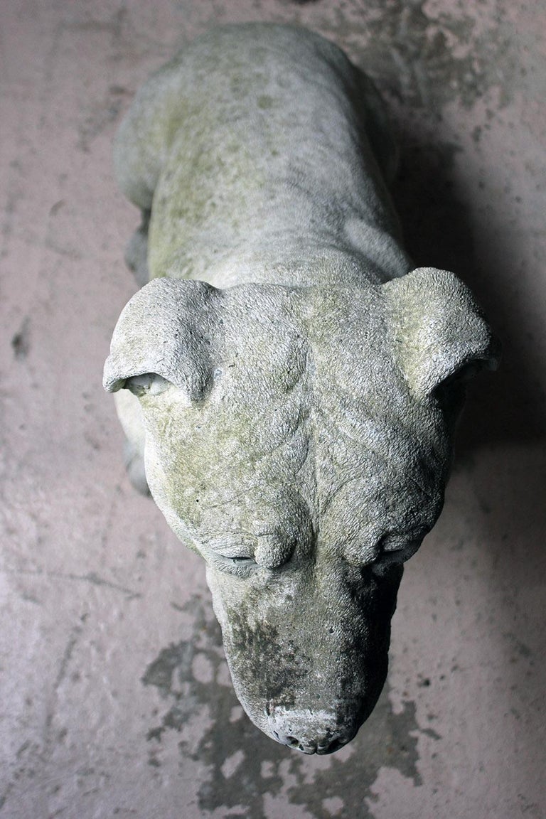 Mid-20th Century Cast Composition Stone Staffordshire Bull Mastiff at ...
