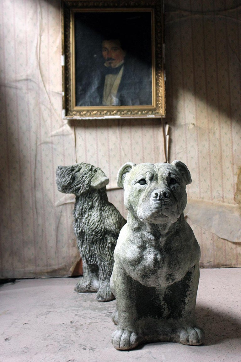 Mid-20th Century Cast Composition Stone Staffordshire Bull Mastiff at ...