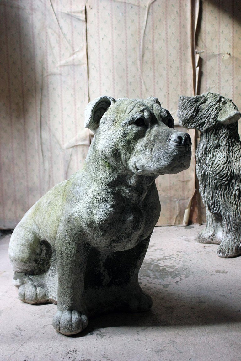 Mid-20th Century Cast Composition Stone Staffordshire Bull Mastiff at ...