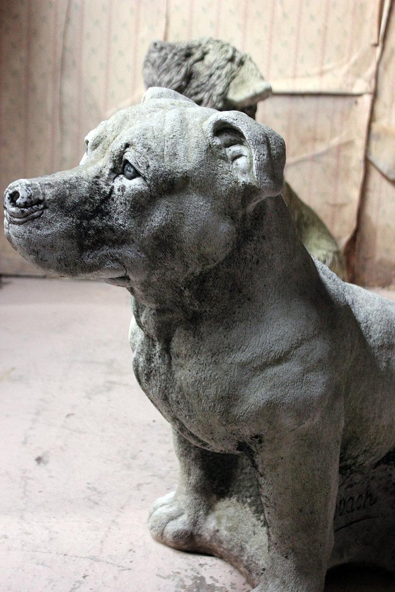 Mid-20th Century Cast Composition Stone Staffordshire Bull Mastiff at ...