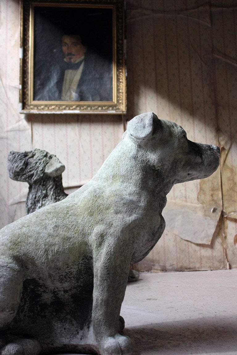 Mid-20th Century Cast Composition Stone Staffordshire Bull Mastiff at ...