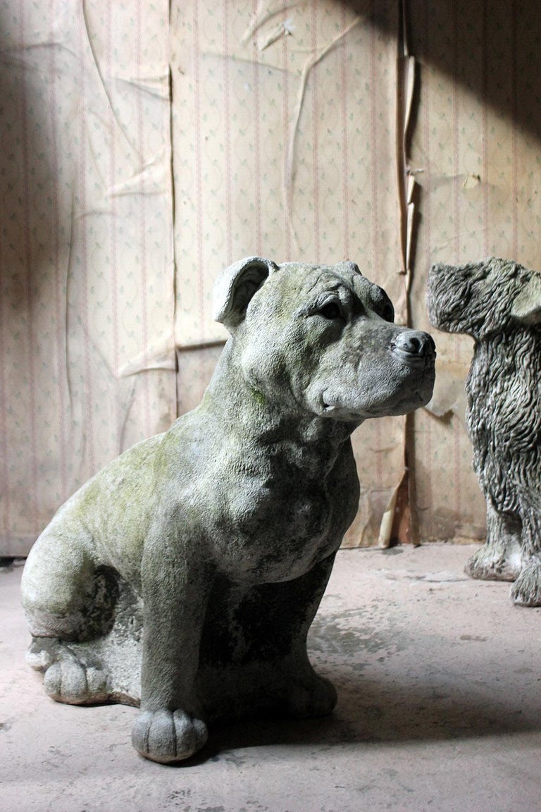 Mid-20th Century Cast Composition Stone Staffordshire Bull Mastiff at ...