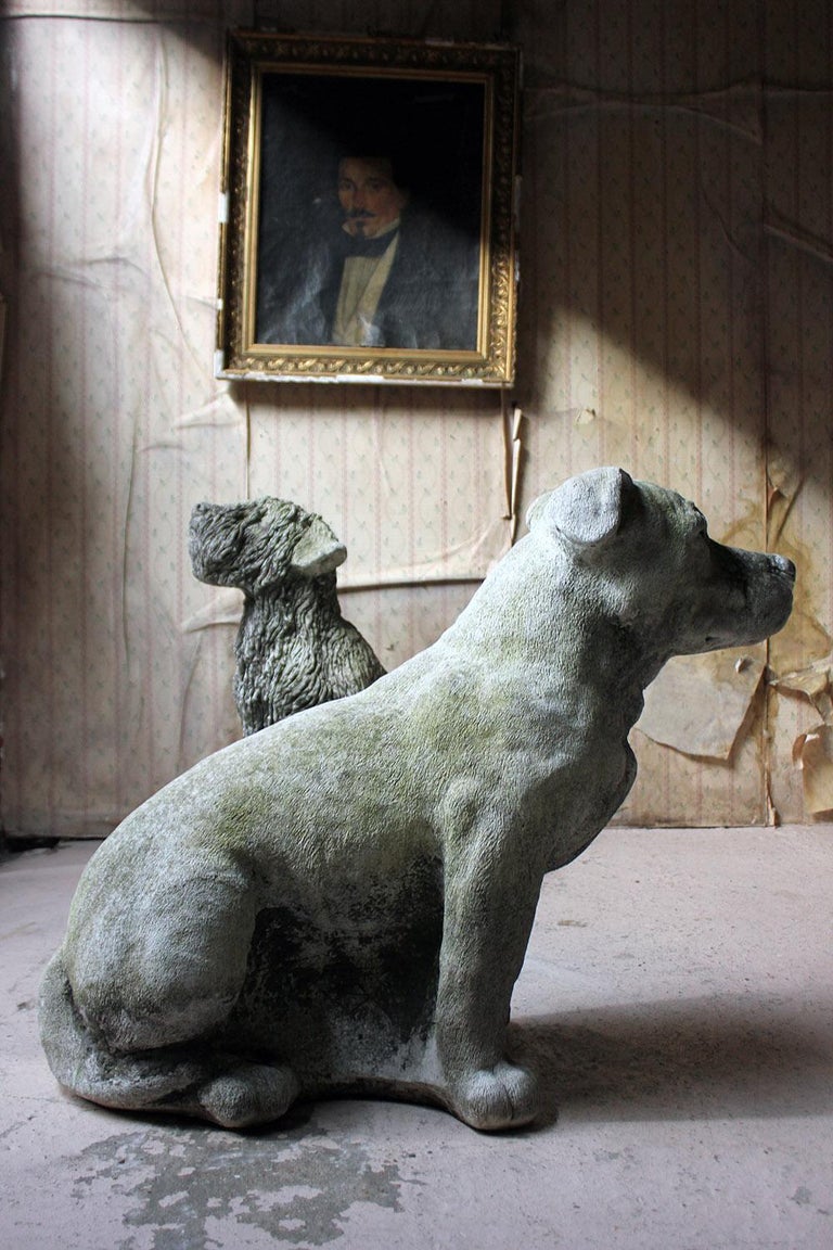 Mid-20th Century Cast Composition Stone Staffordshire Bull Mastiff at ...
