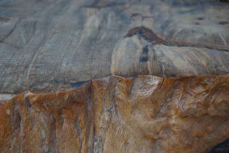 Midcentury, 1960-1970 Organically Stylish Walnut Wooden Tree Trunk ...