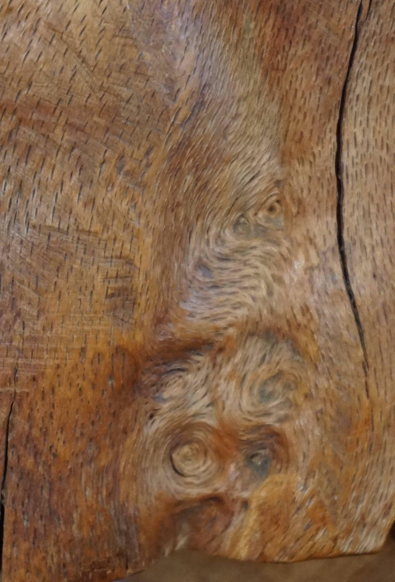 Midcentury, 1960-1970 Organically Stylish Walnut Wooden Tree Trunk ...