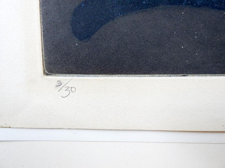 Mid-Century Abstract Color Portrait Etching by Tony Bass For Sale at ...