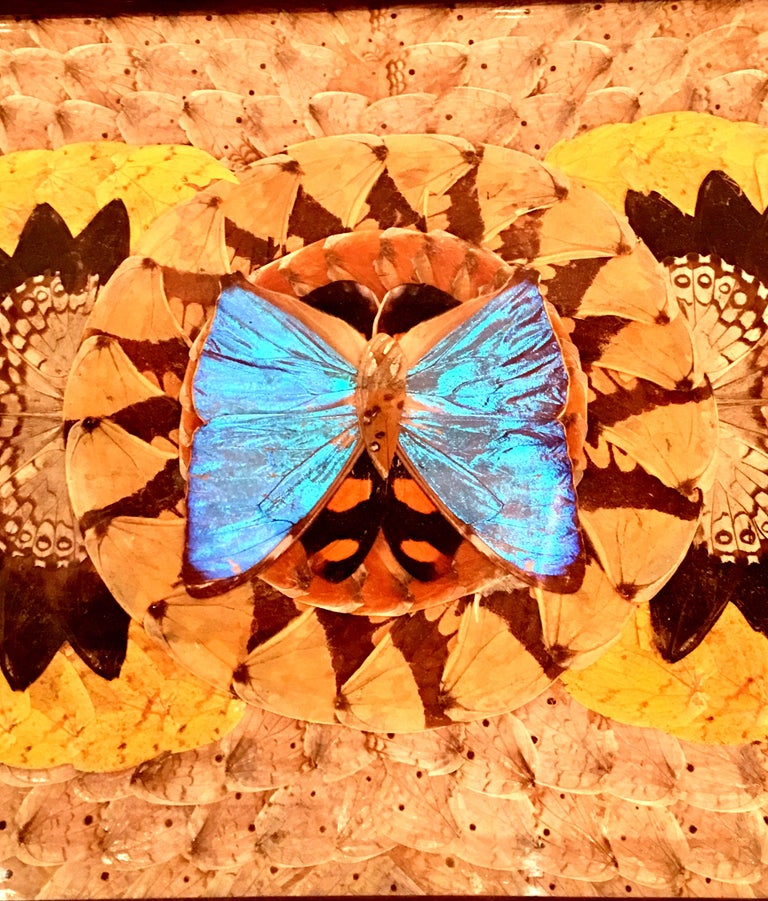 Mid-Century Brazilian Wood and Brass Inlay Pressed Butterfly Tray at ...