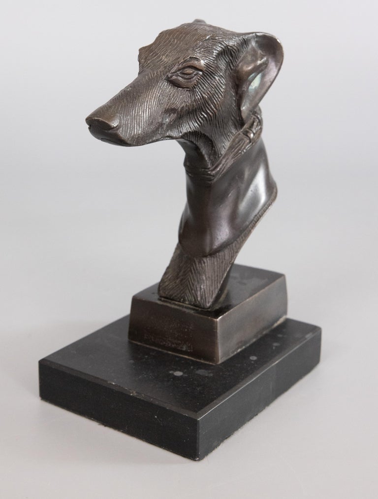 Mid-Century Bronze Greyhound Whippet Dog Bust Sculpture For Sale at 1stDibs
