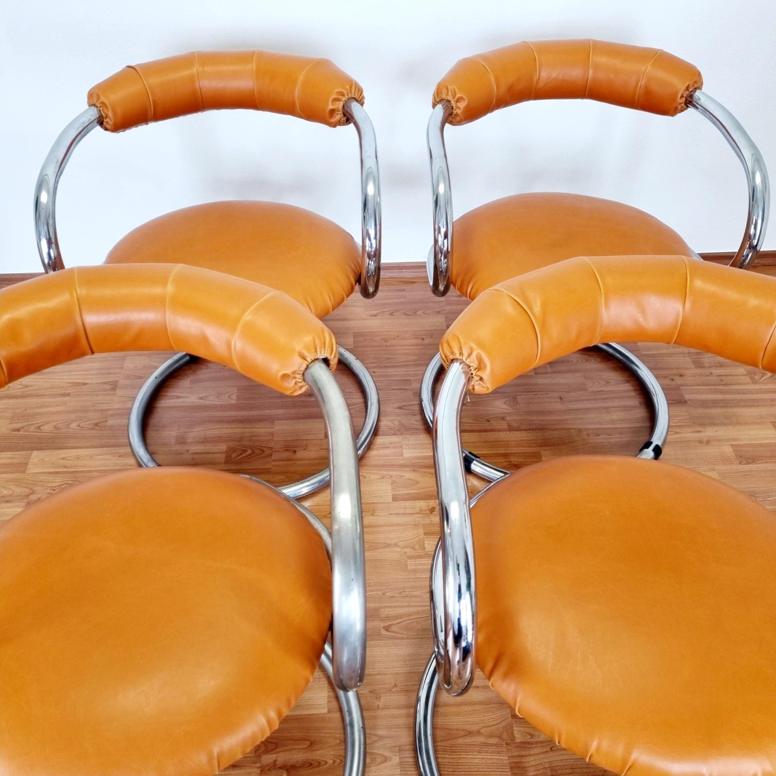Mid Century Dining Chair Designed by Rudi Bonzanini for Tecnosalotto ...