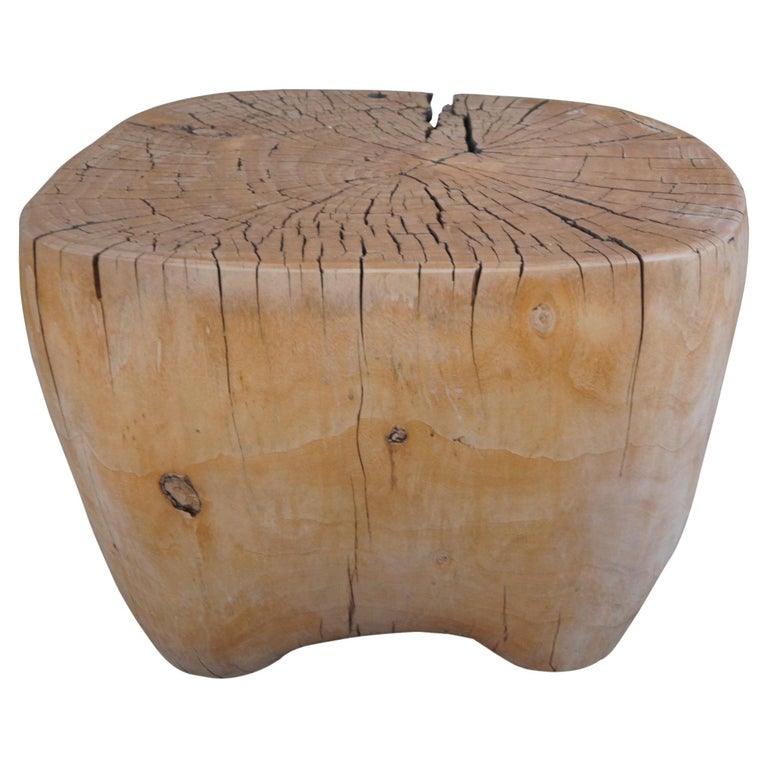 Midcentury Freeform Teak Root Side Accent Coffee Table Slab Stump Stool ...