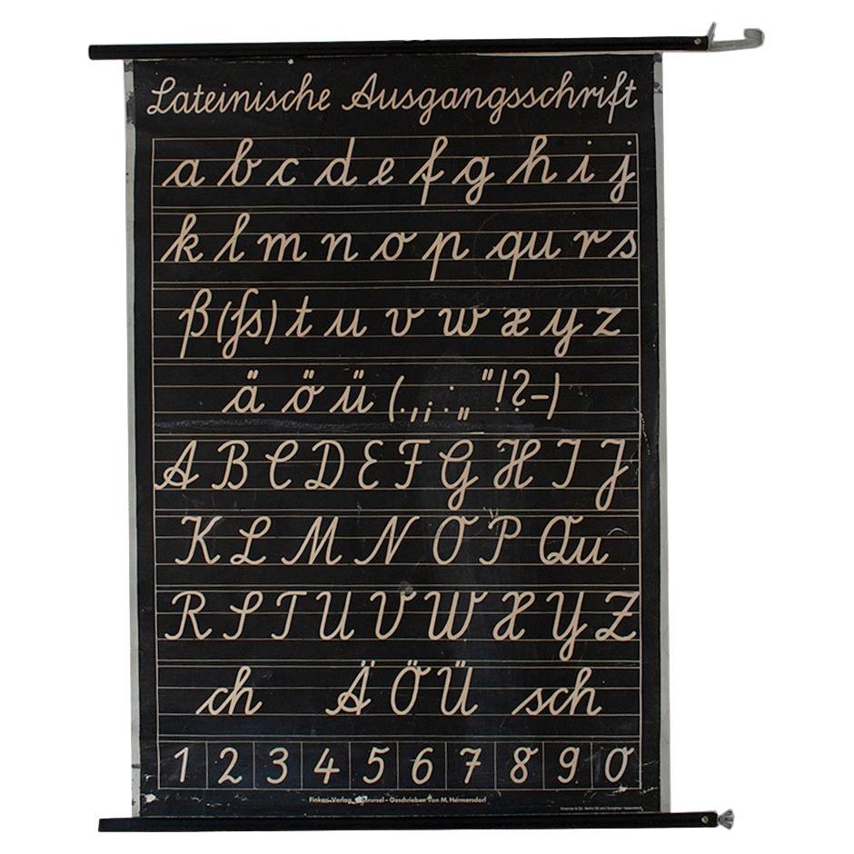 Midcentury German Latin School Alphabet Typography Pull Down Chart For ...