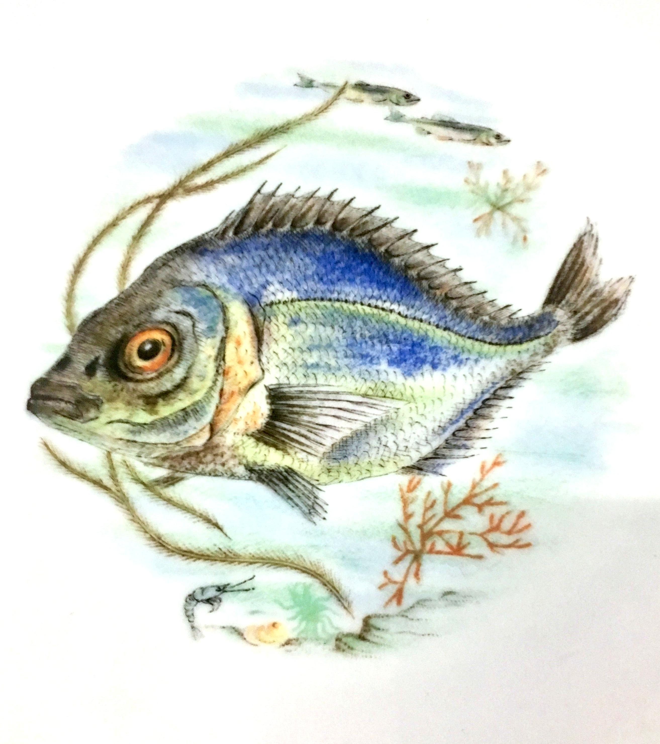 Mid-Century German Porcelain Hand-Painted Fish Service Set Of 7 By, JKW ...