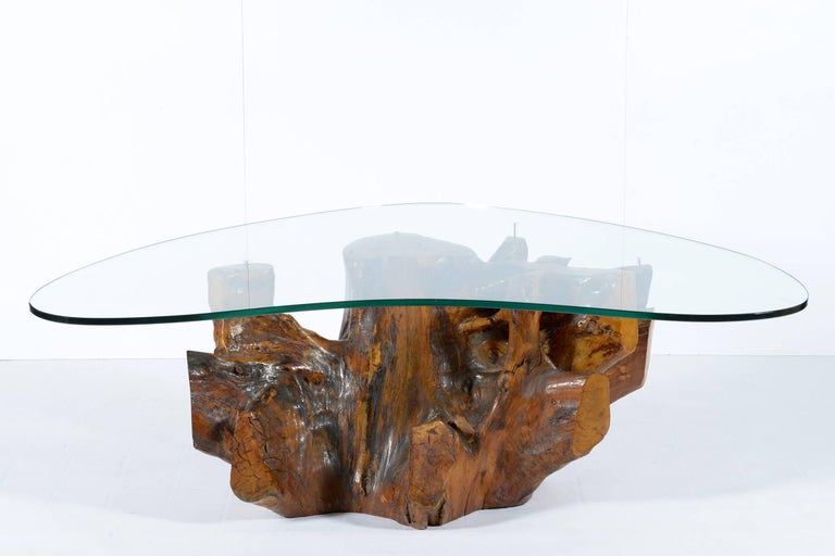 Midcentury Italian Solid Burl-Root Tree Coffee Table Boomerang Shaped ...