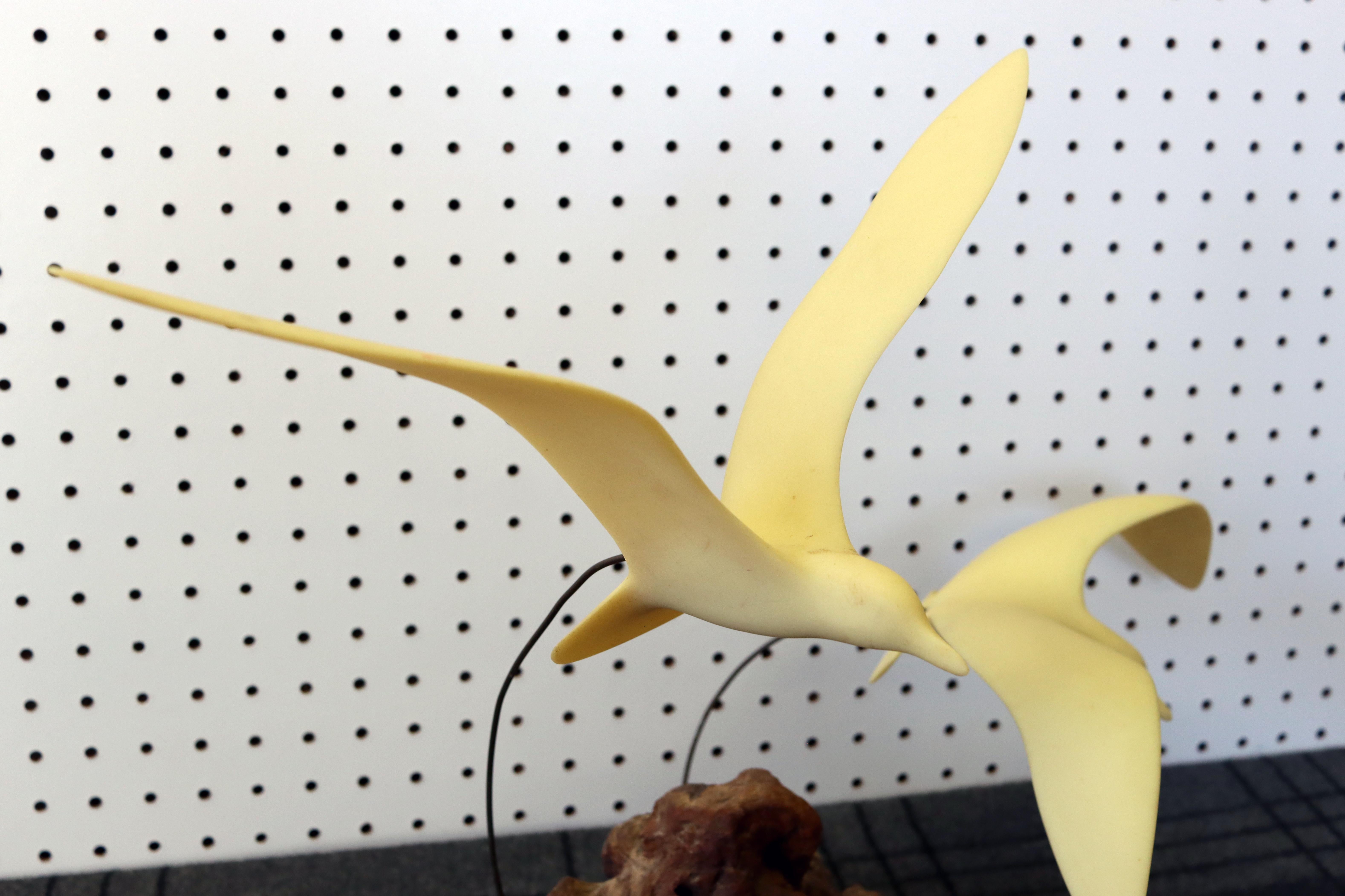 Midcentury John Perry Burlwood Seagull Sculpture For Sale at 1stDibs ...