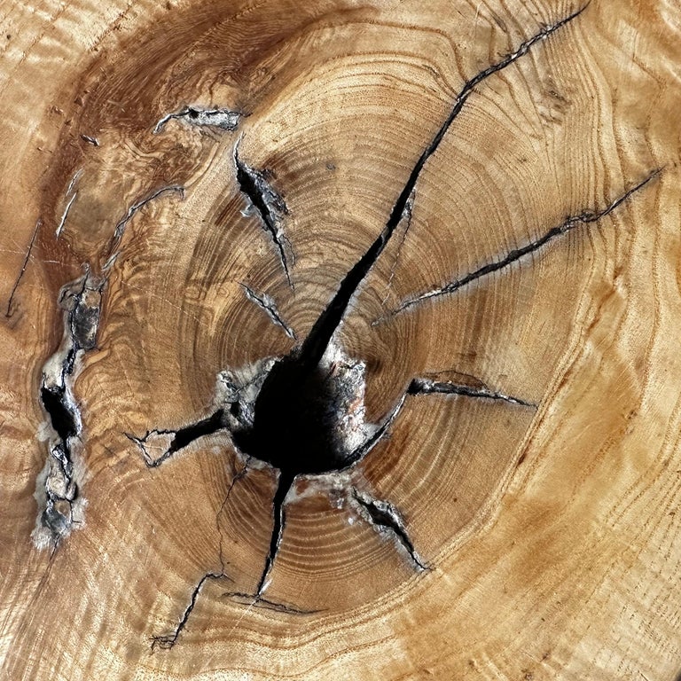 Midcentury Live Edge Tree Trunk Table, Austria, 1965 For Sale at 1stDibs