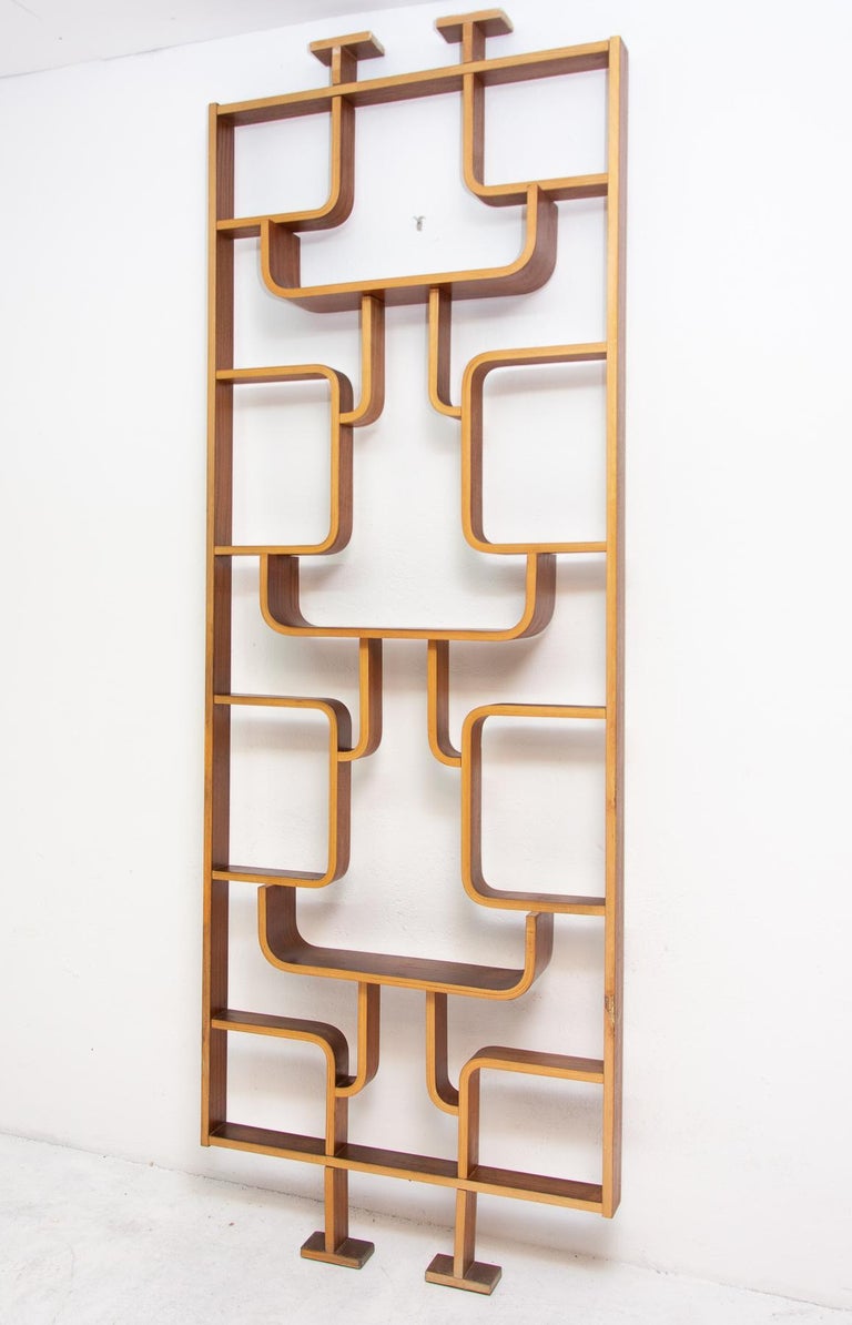 Midcentury Mahogany Room Divider by Ludvik Volak for Drevopodnik ...