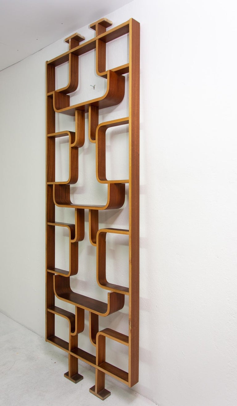 Midcentury Mahogany Room Divider by Ludvik Volak for Drevopodnik ...