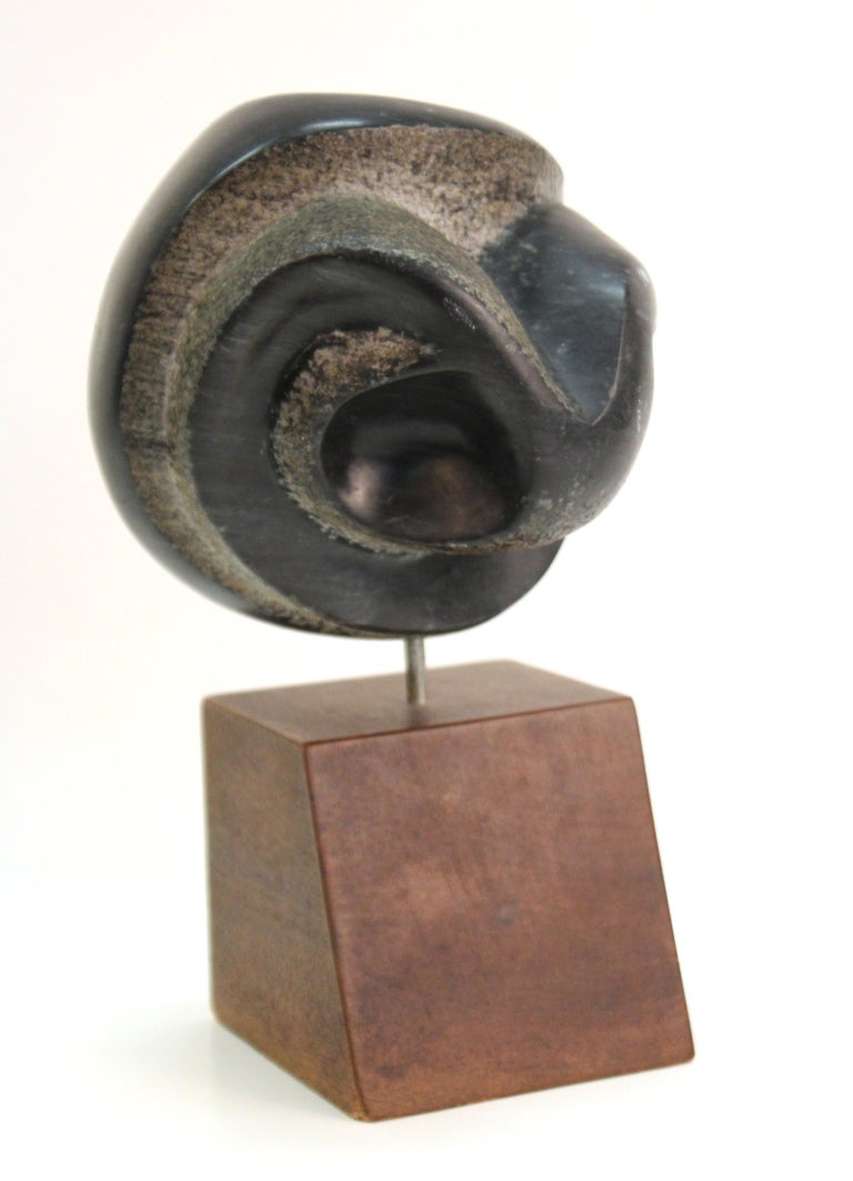 Mid-Century Modern Abstract Carved Stone Sculpture in Biomorph Shape at ...