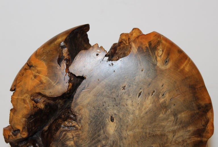 Mid-Century Modern Burl Wood Modernist Vase at 1stDibs