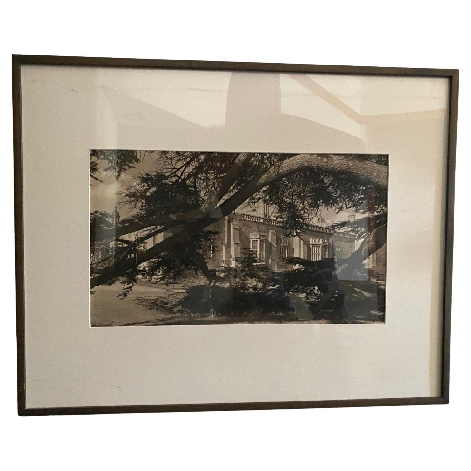 Mid-Century Modern California Architecture Silver Gelatin Sepia ...