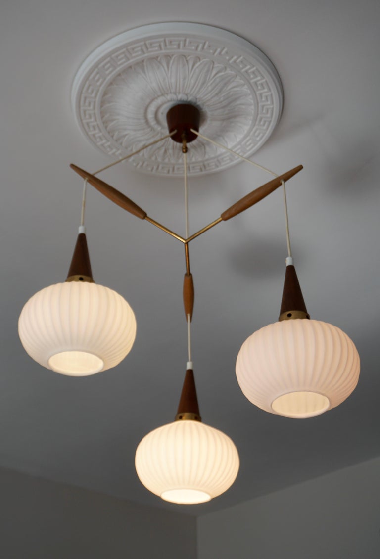 Mid Century Modern Ceiling Lighting