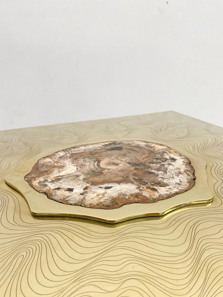 Mid-Century Modern Coffee Table in the Style of Dario, Fossil Wood ...