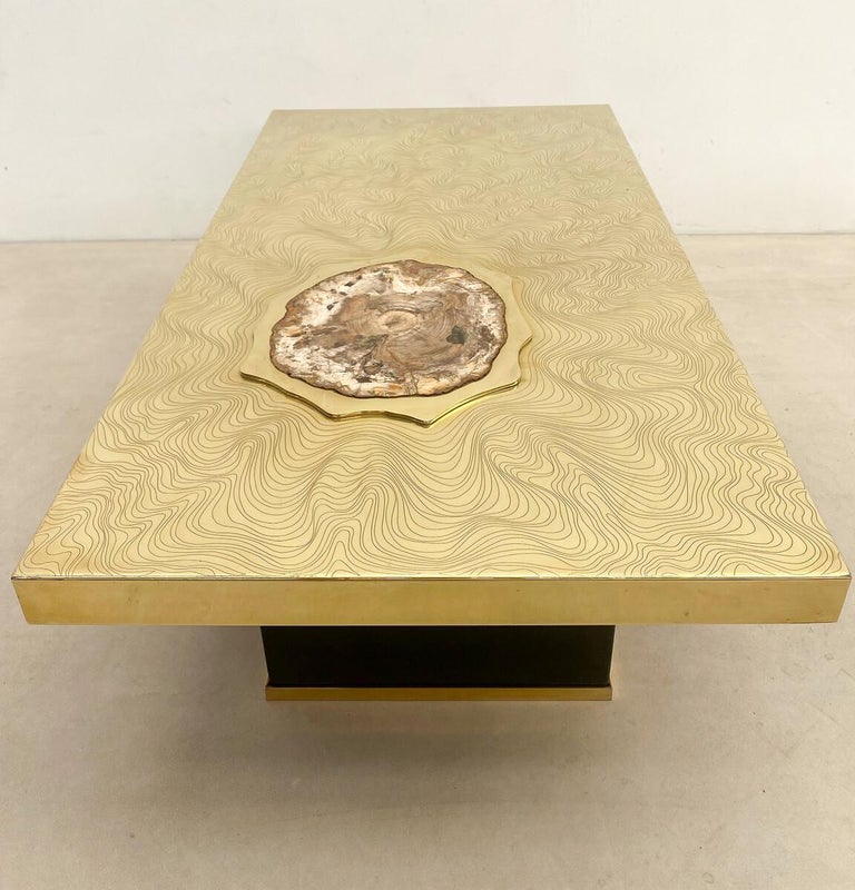 Mid-Century Modern Coffee Table in the Style of Dario, Fossil Wood ...